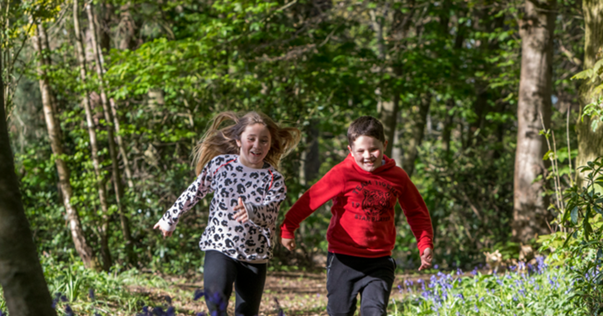 2026 Family Summer Breaks | The Belfry Hotel & Resort